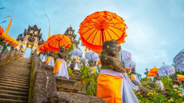 Booking Your Japanese Encephalitis Vaccine - Midnight Pharmacy